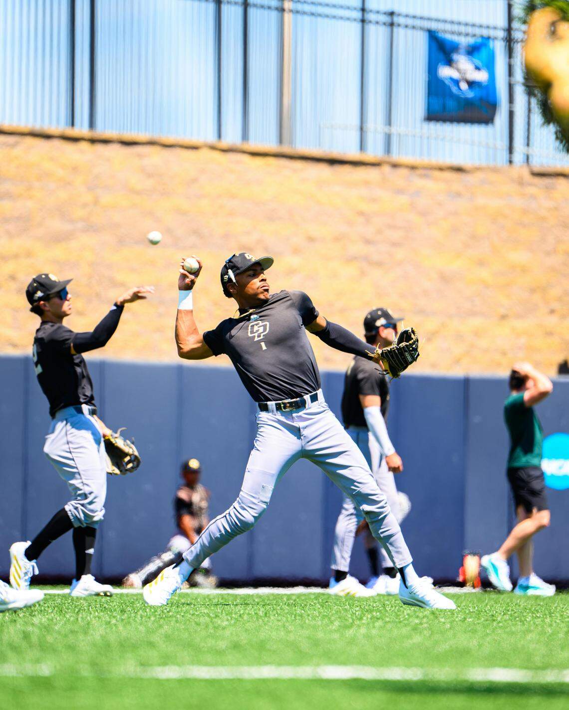 Cal Poly baseball's postseason run caps historic year for Cal Poly sports