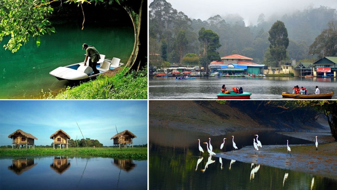 World Environment Day 2026: Eco-tourism hotspots that showcase India’s ...