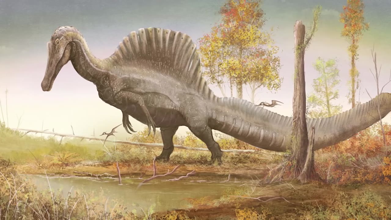 Humans would last just 3.5 seconds in prehistoric Sahara!