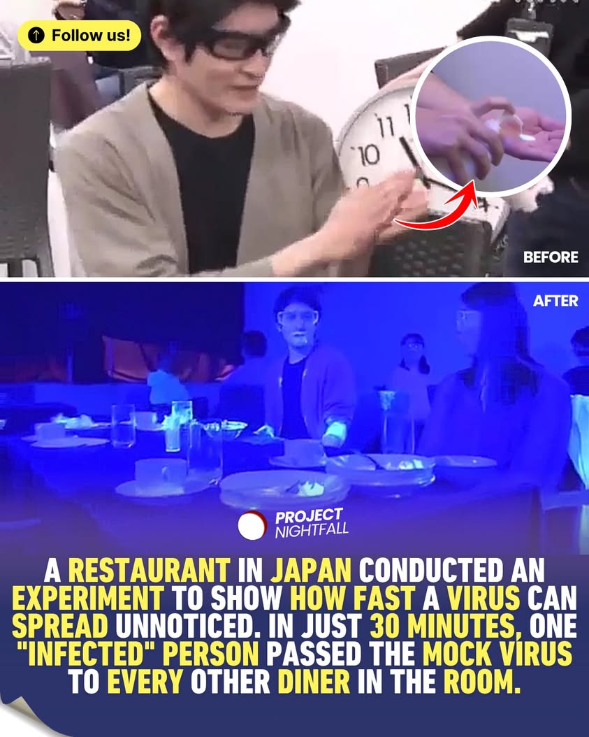Buffet nightmare: One person contaminates all in 30 mins, virus found ...