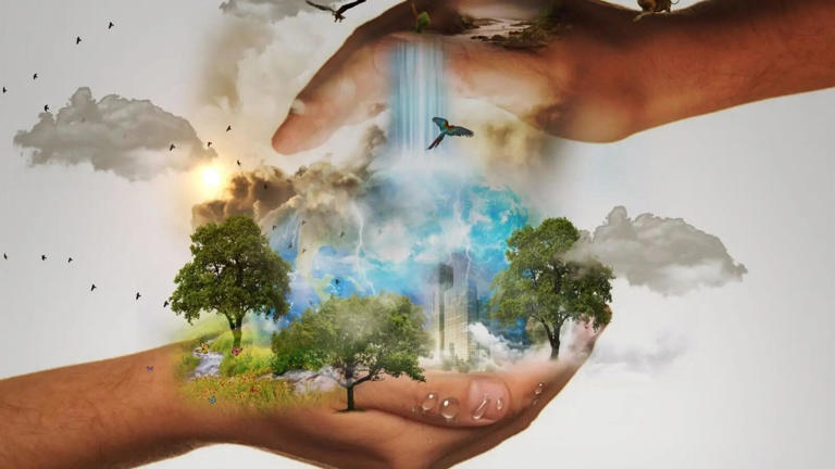 World Environment Day 2026: 50+ messages, slogans, WhatsApp & Facebook ...