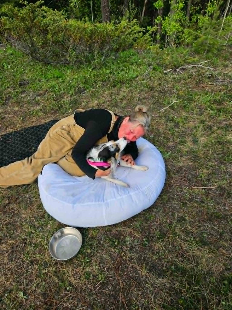 ‘We need one more miracle’: Kelowna dog safe at home after surviving ...