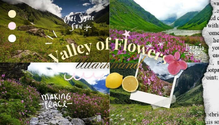 Is Valley of Flowers open now? Here’s how to reach, best time to visit ...