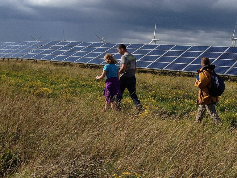 They brought 40 sheep to graze near a solar plant, and showed how solar ...
