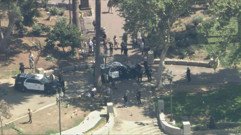 Another major federal drug enforcement operation carried out at ...