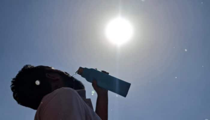 Rajasthan's new reality: Extreme heat and water scarcity spark urgent ...