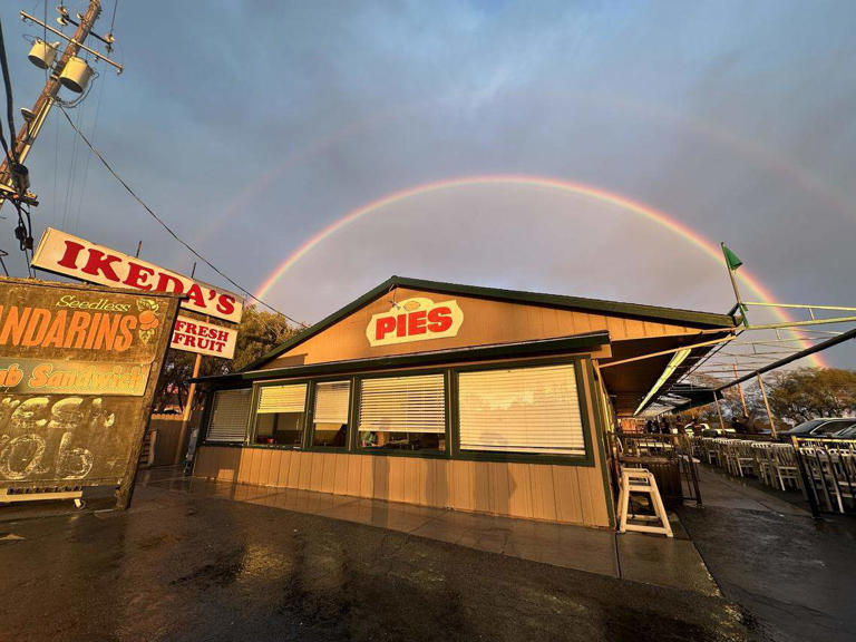 Sacramento area pie shop and fruit stand campaigns to win 'Best pie in ...