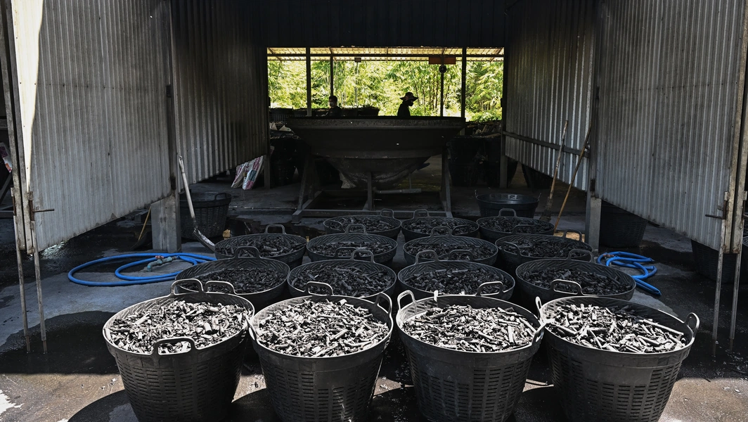 Turning waste into garden gold with biochar