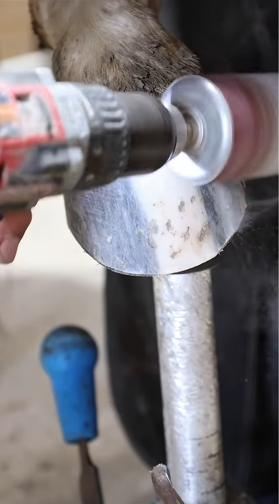 Satisfying hoof cleaning with a grinder
