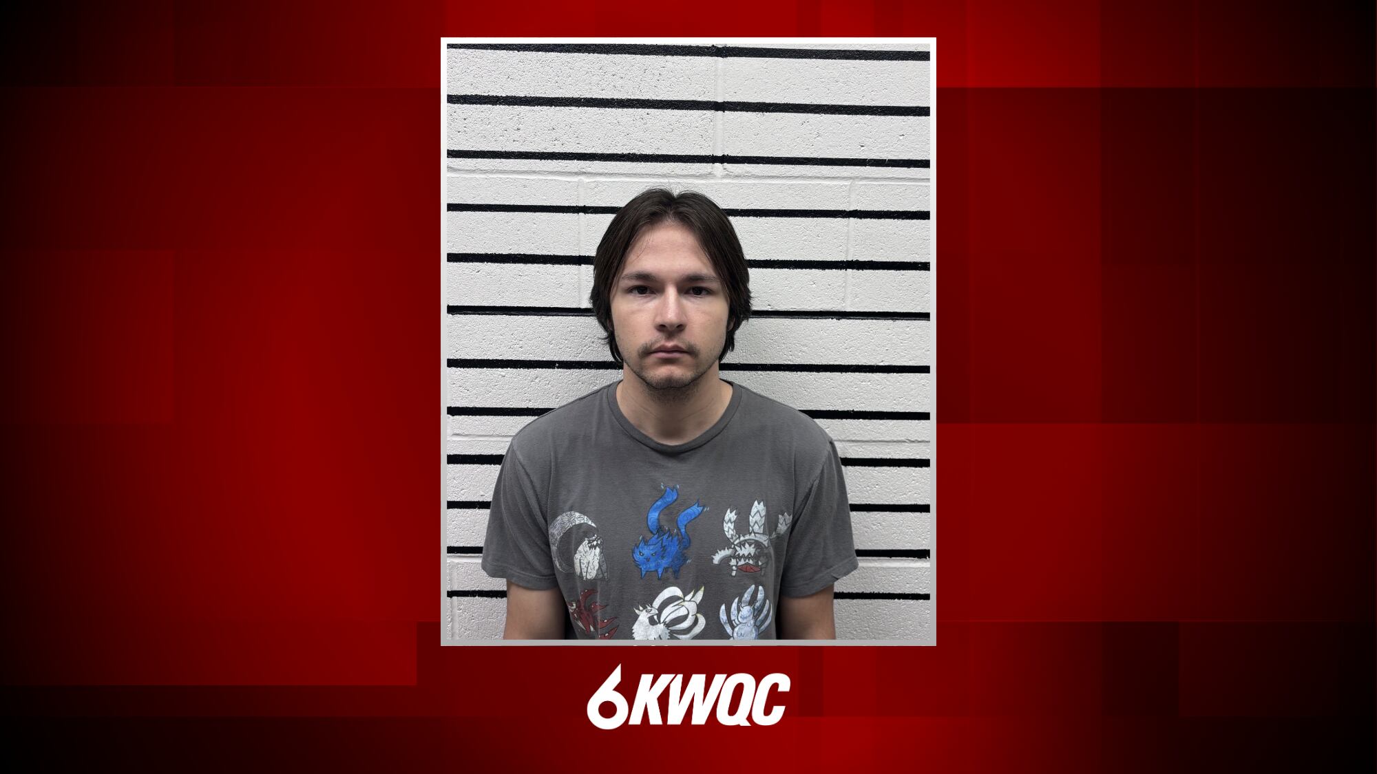19-year-old facing felony child sexual abuse, assault charges