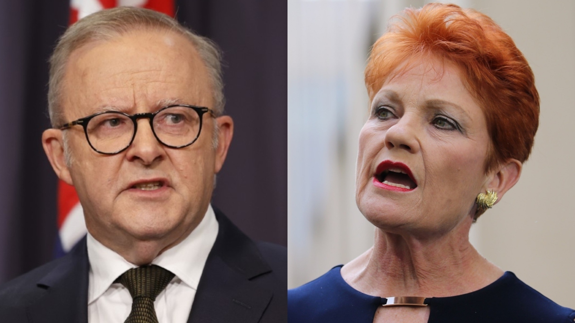 Albanese lashes One Nation surge as 'grievance politics'
