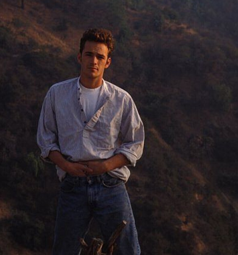 '90s heartthrobs we all collectively pretended were perfect
