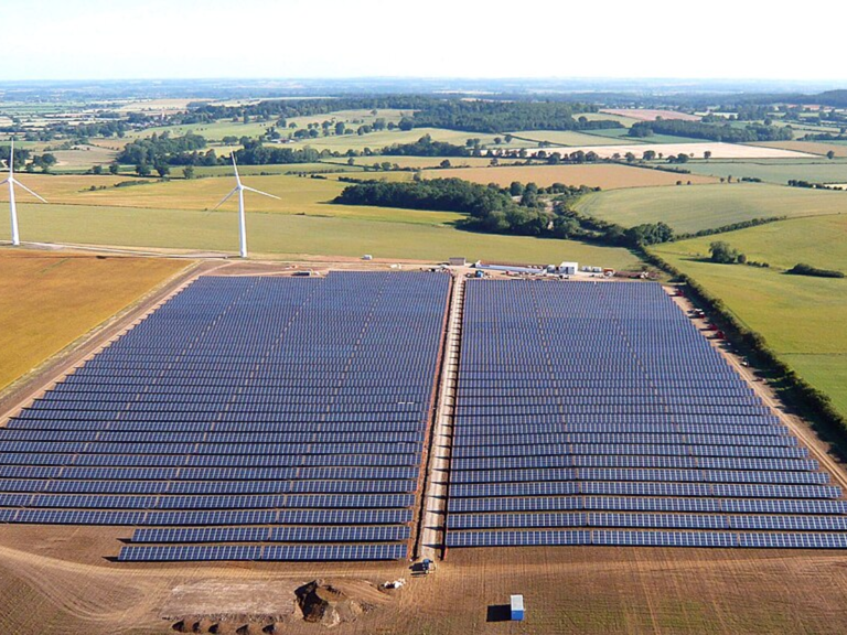 They brought 40 sheep to graze near a solar plant, and showed how solar ...