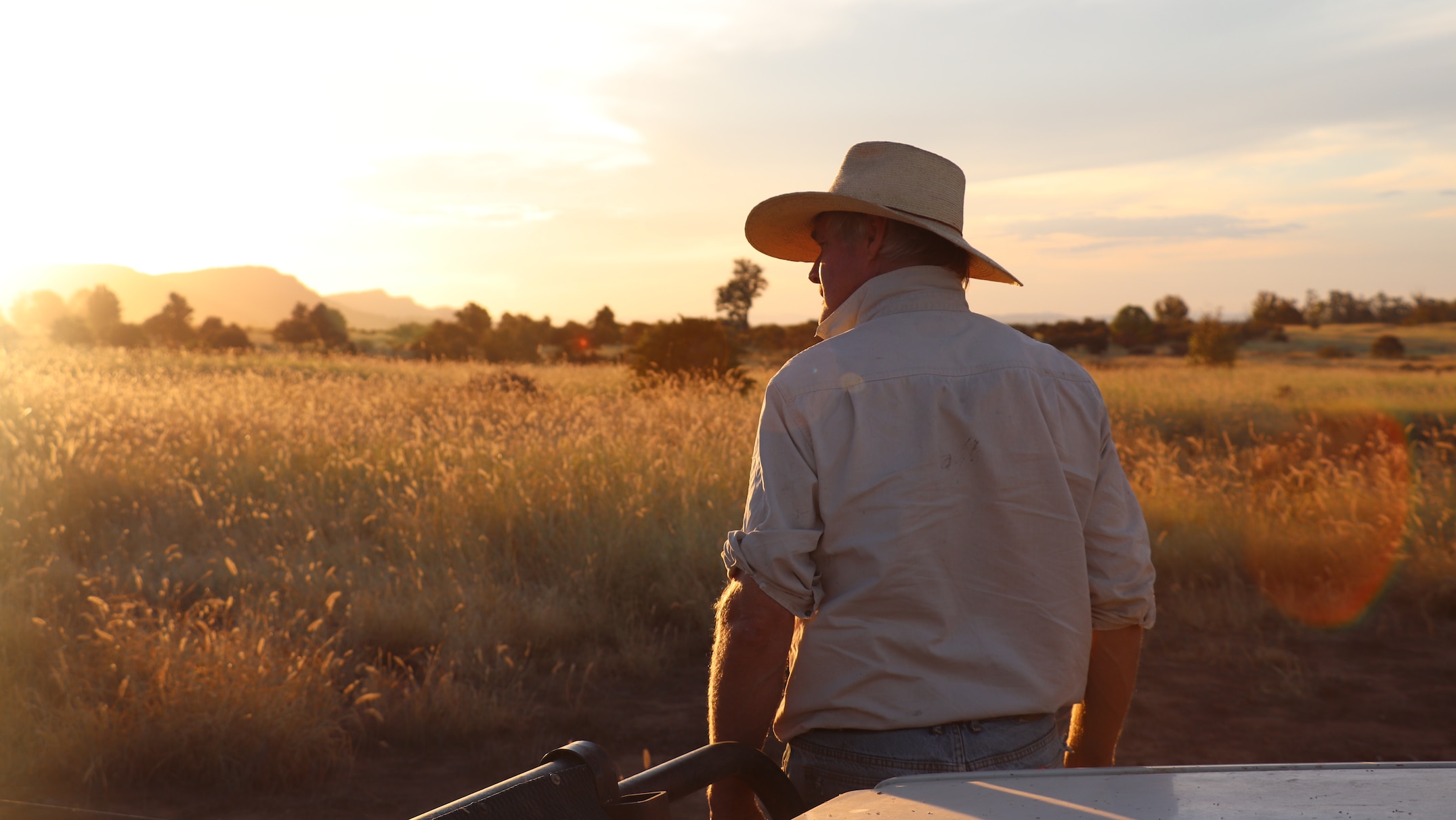 Farms in Focus report shows despite the difficulty, farmers are ...