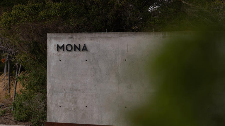 Mona visitor numbers are up, but gambling continues to prop up loss ...