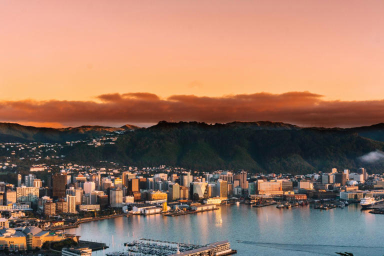New Zealand capital flooded with feces after wastewater failure