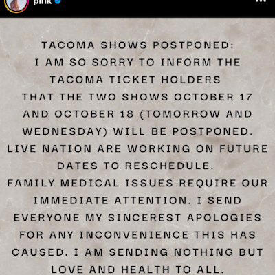 Pink cancels more shows due to illness after backlash: 'I'm unable to ...