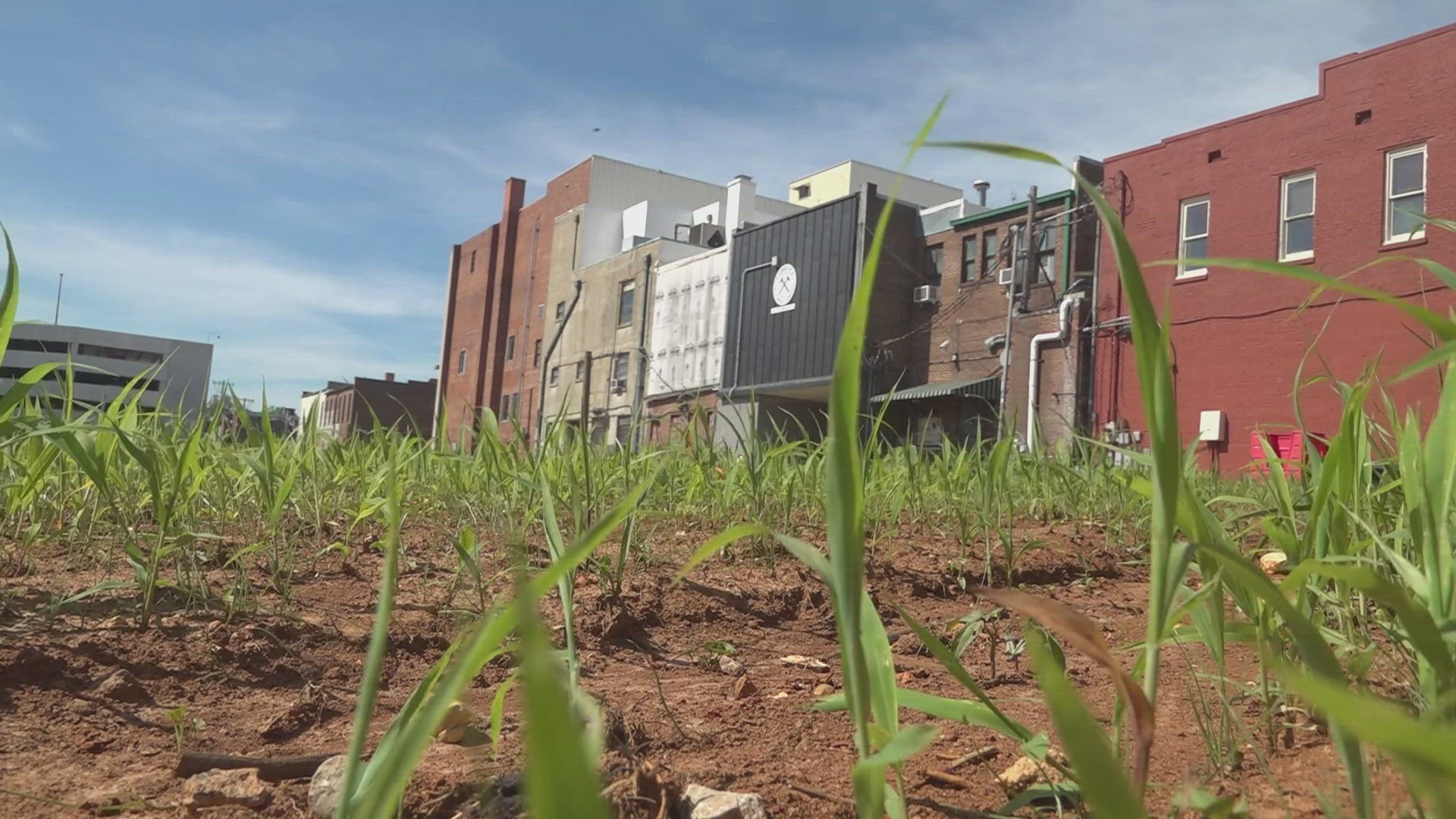 Florence moves forward with plans for a new City Hall