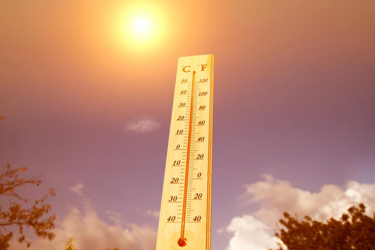 « Un scénario plus chaud que la normale » : Météo-France dévoile ses ...