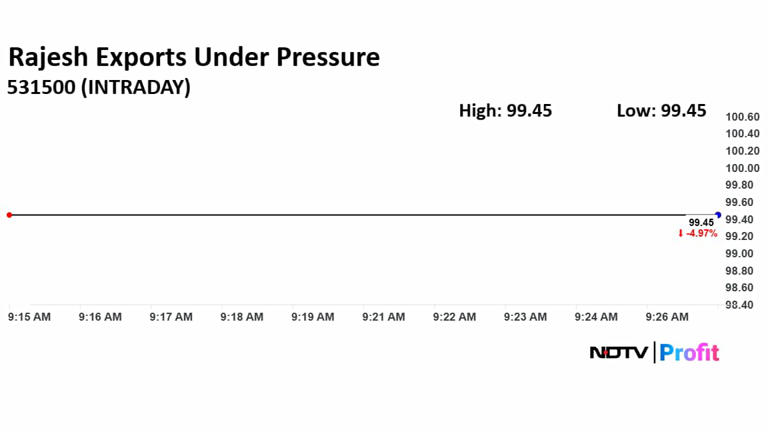 Rajesh Exports share price under pressure for second straight day ...