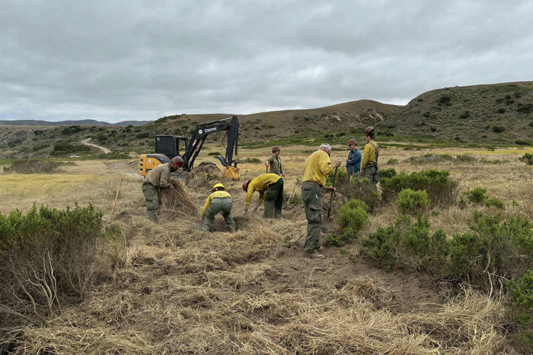 'Sad and frustrating': Calif. national park island closed indefinitely ...