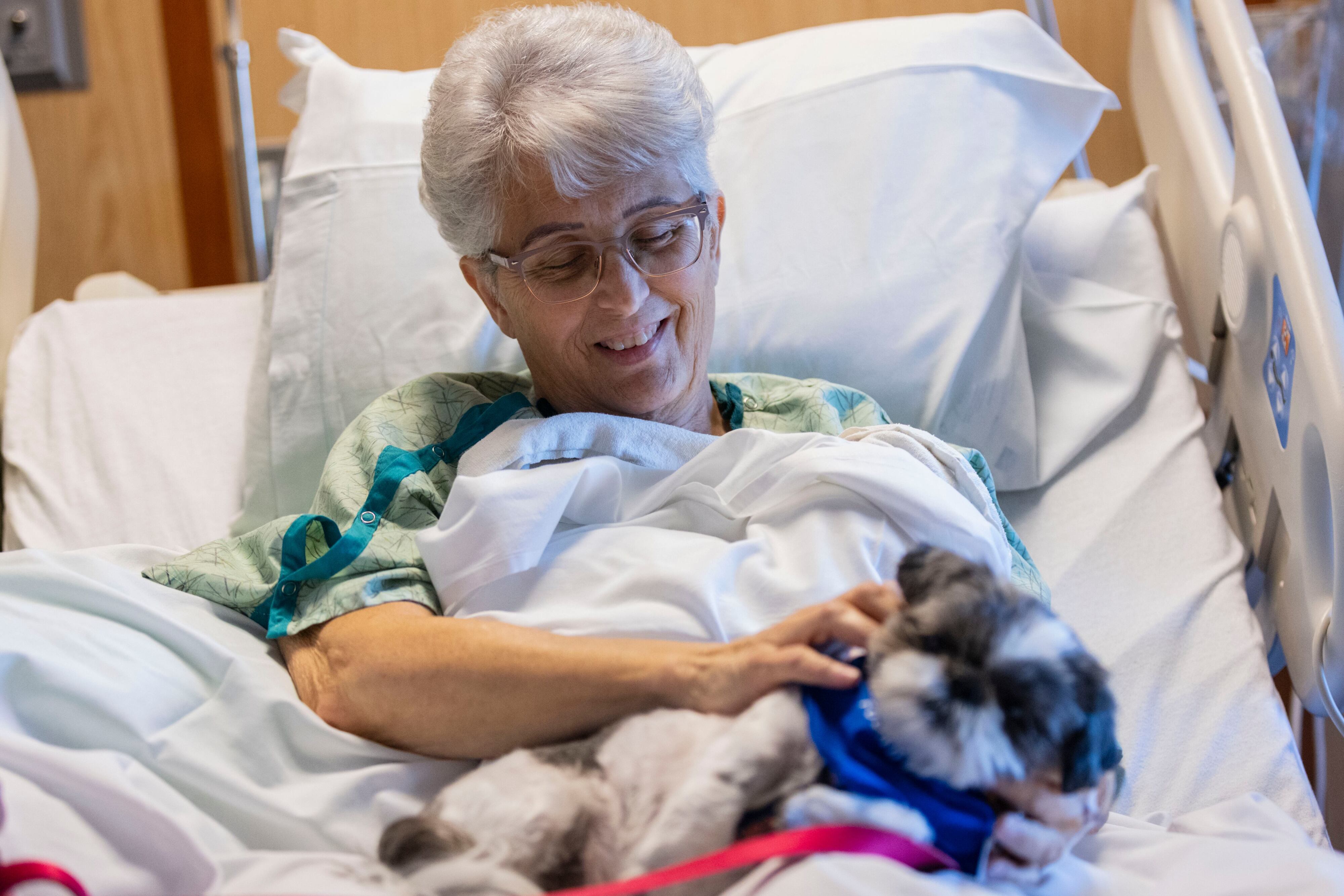 St. Joe’s animal-assisted therapy program setting the standard for ...