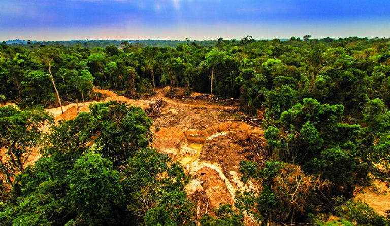 World Environment Day: Nature, climate change and the path forward