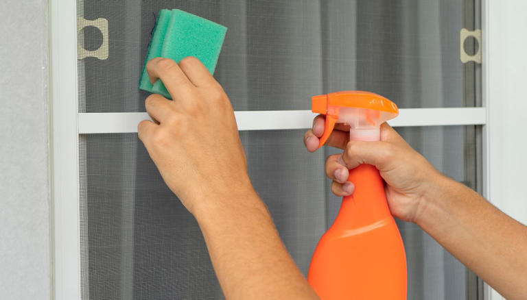 Come pulire le zanzariere con acqua: il metodo efficace per una casa ...