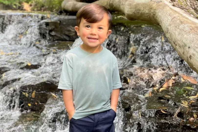 'Smart' and 'affectionate' boy, 5, tragically dies after being struck ...