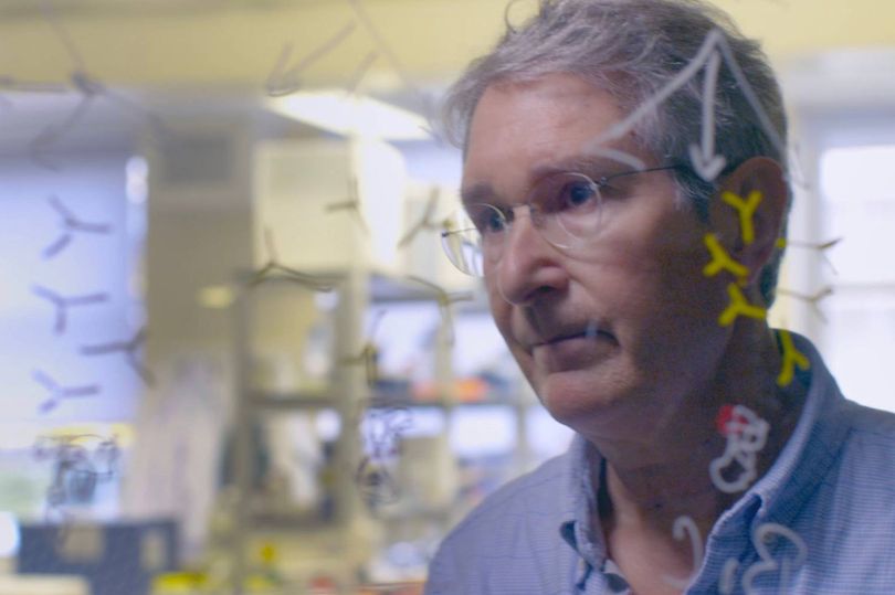 'Universal' vaccine to prevent future pandemics developed by British ...