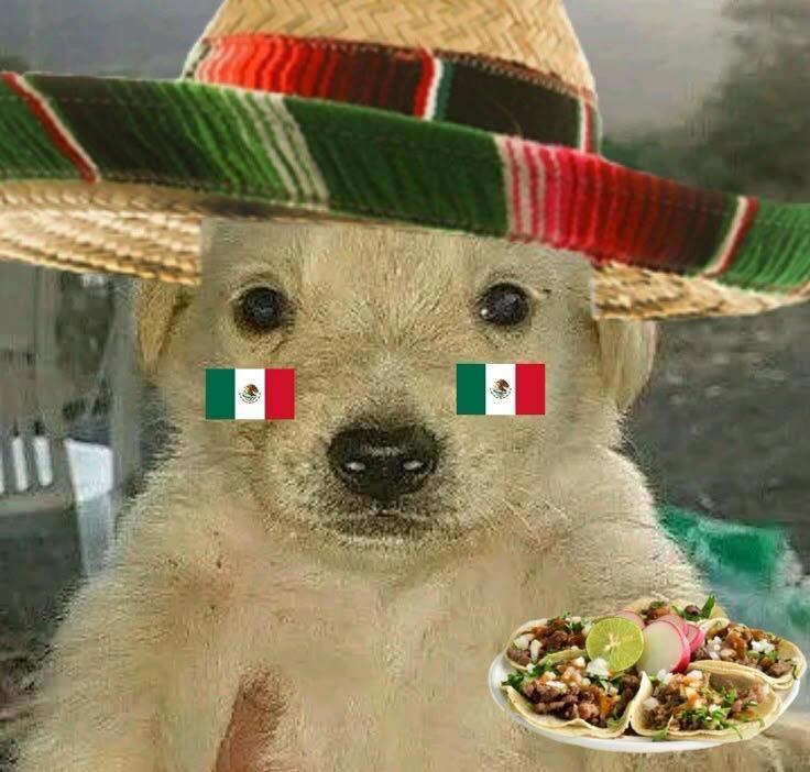 Los mejores memes del triunfo de México ante Serbia