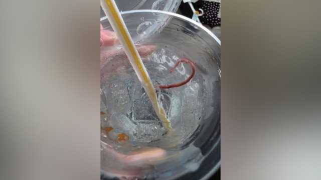 Class action lawsuit filed over worms in McDonald's sodas