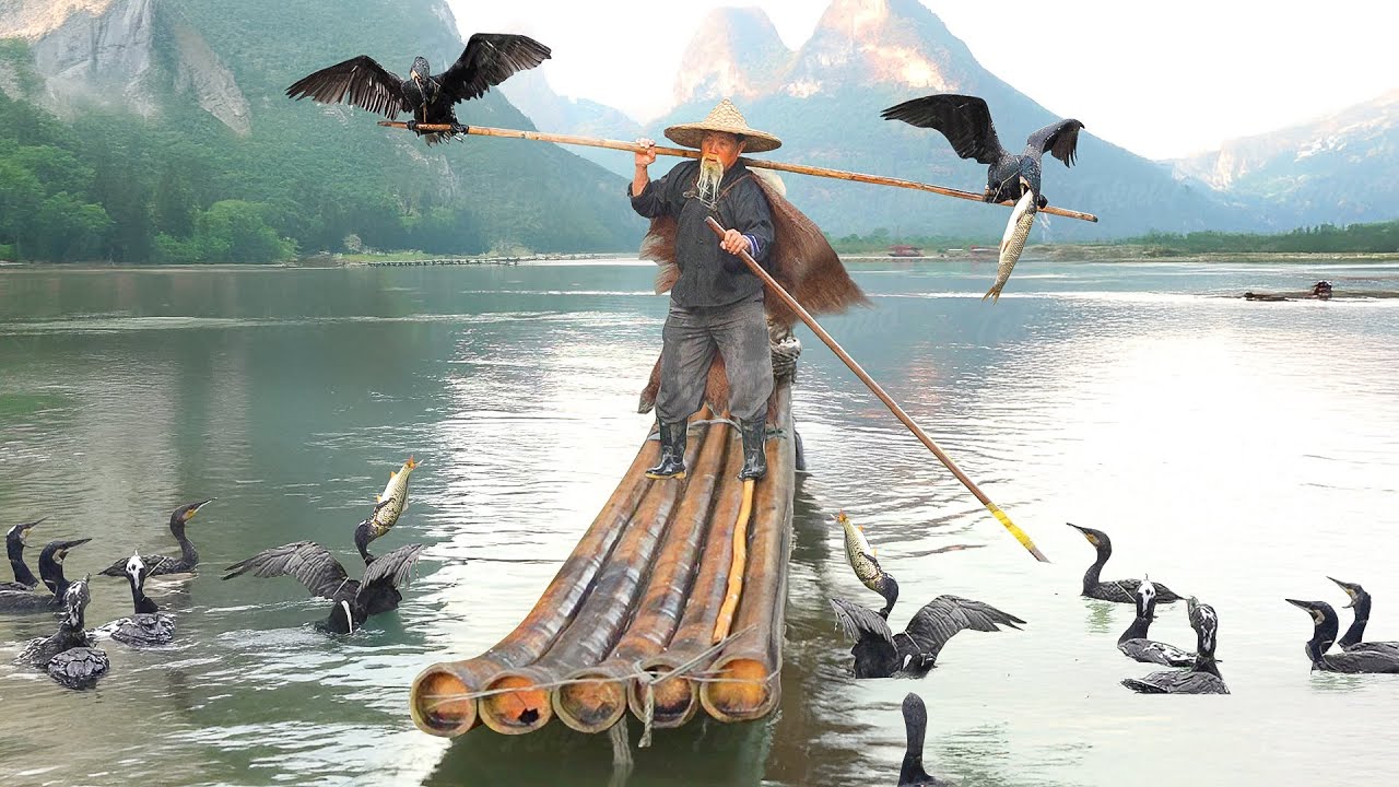 This old man trained birds to catch him tons of fish