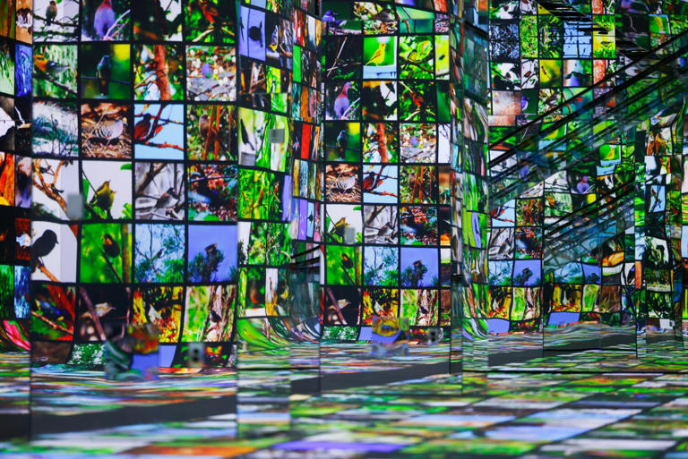 Dataland defies expectations. But will LA embrace the world's first AI ...