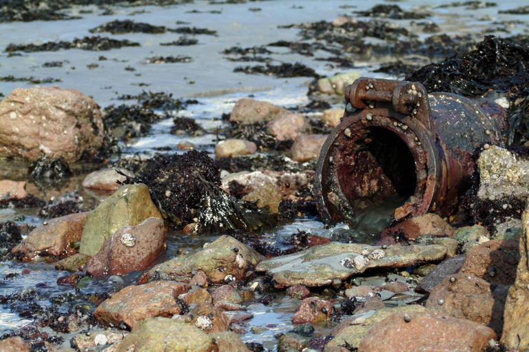 Welsh Water to pay out £44.7m over sewage spills after 'serious' failures