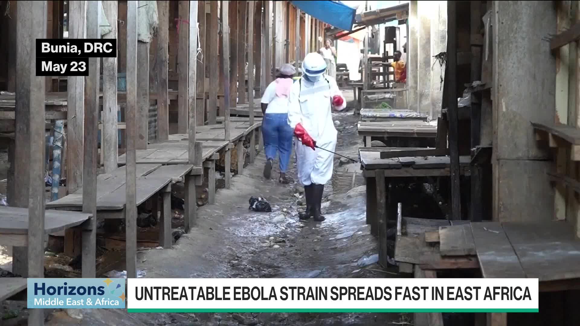 Ebola Bundibugyo strain spreads fast