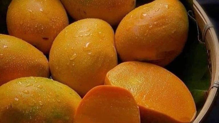 Mangoes you must eat in June: Sweetest varieties to enjoy before season ...