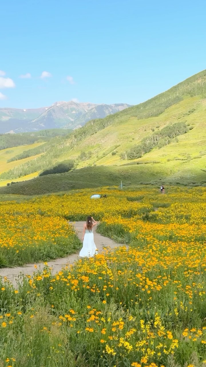 Colorado summer views that don’t feel real