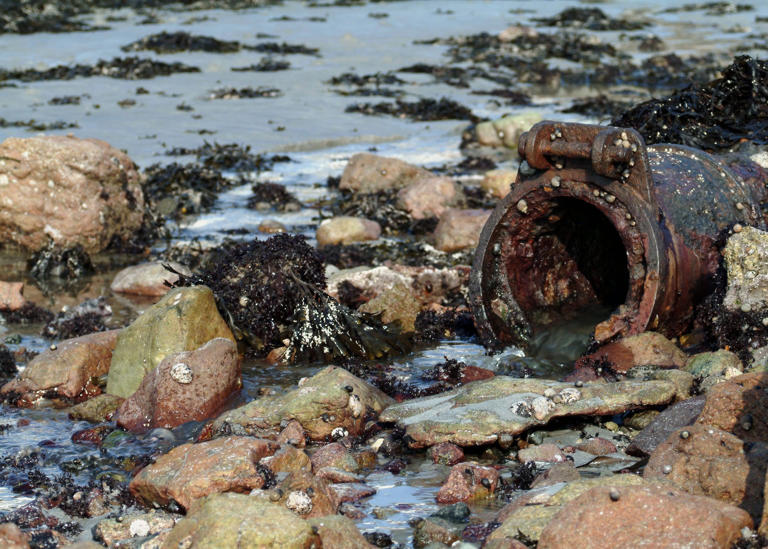 Welsh Water to pay out £44.7m over sewage spills after 'serious' failures