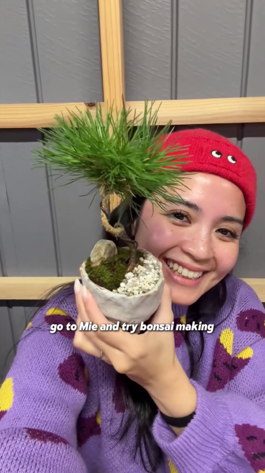 Traditional bonsai making experience in Japan