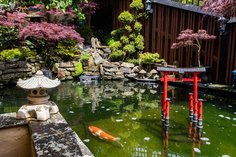 Bristol dad spends £20k transforming backyard into beautiful Japanese ...