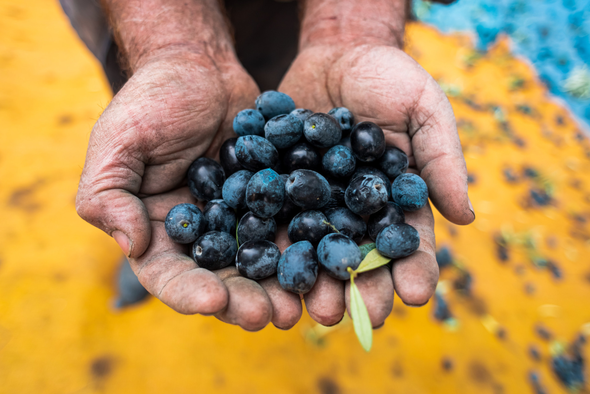 Countries with the least food self-sufficiency