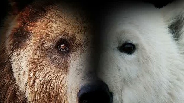 These 2 apex predators are mating and creating a new hybrid animal