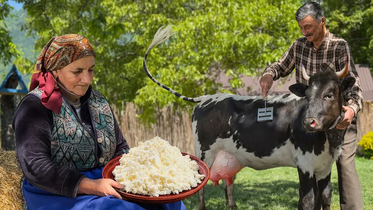 How to make real cottage cheese from fresh cow's milk - secret village ...