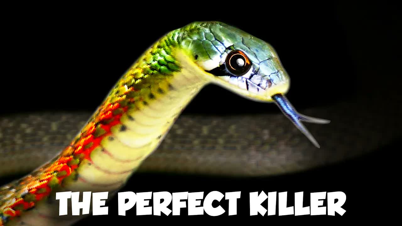 The snake that made scientists ask, “How is this even possible?”