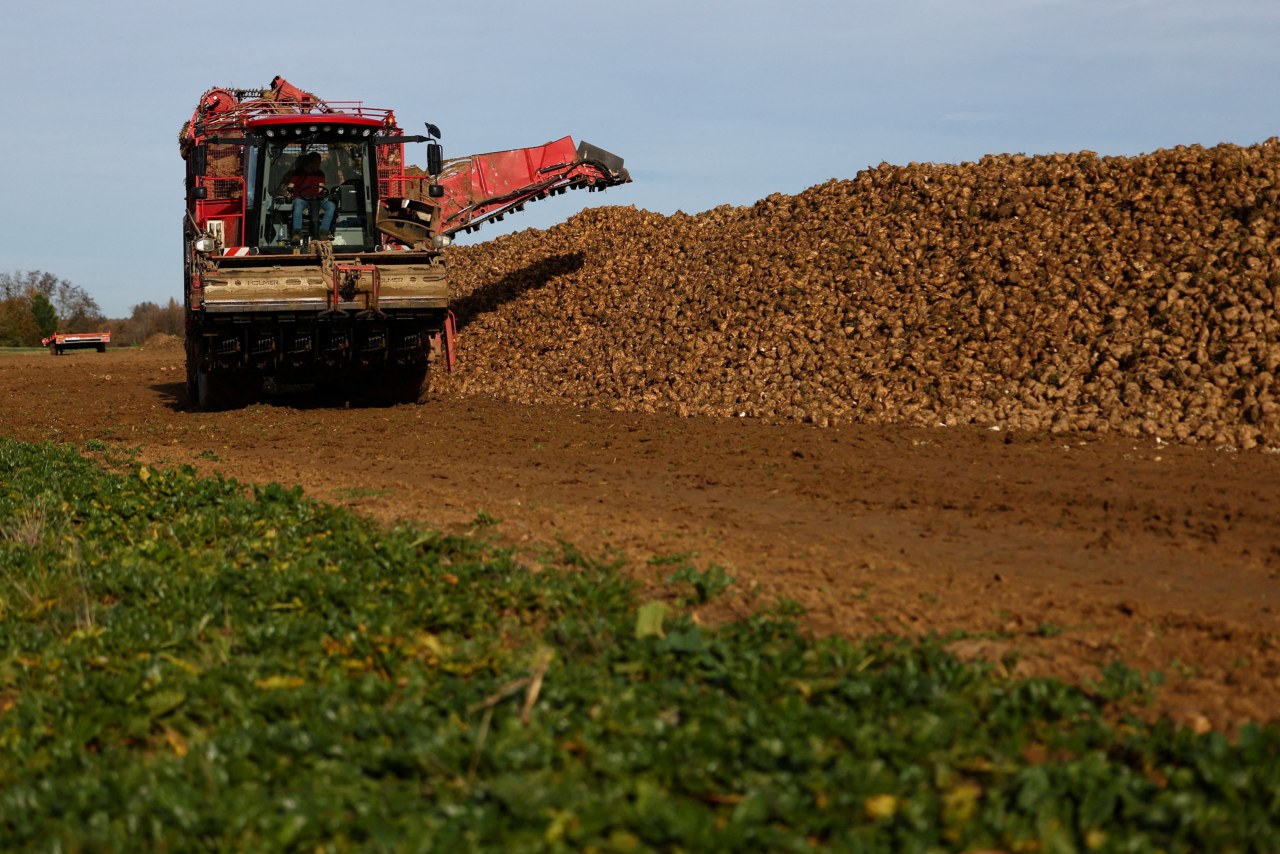 Food prices mostly stable in May but Middle East conflict threatens ...