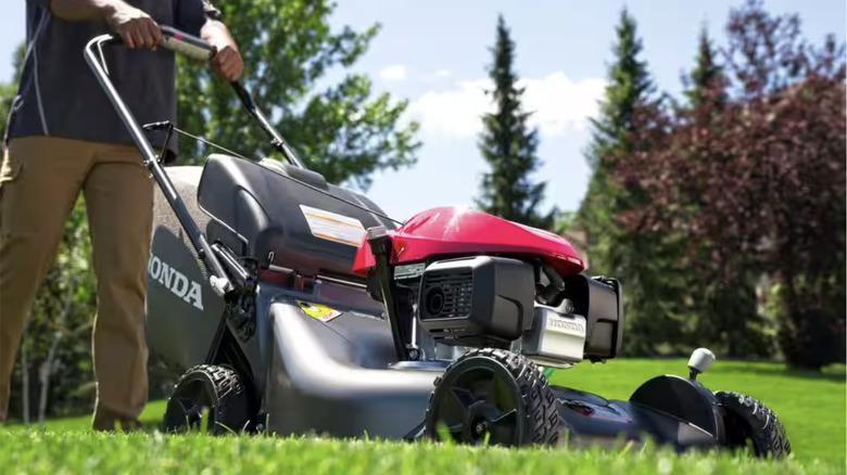 Top rated self-propelled lawn mowers that will keep your grass beautiful