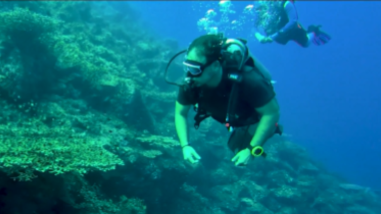 Watch: Rahul Gandhi scuba dives among Great Nicobar's coral reefs ...