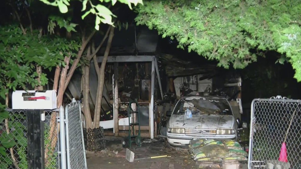 2 people critically hurt, 3 animals dead after house fire in Oak Cliff ...