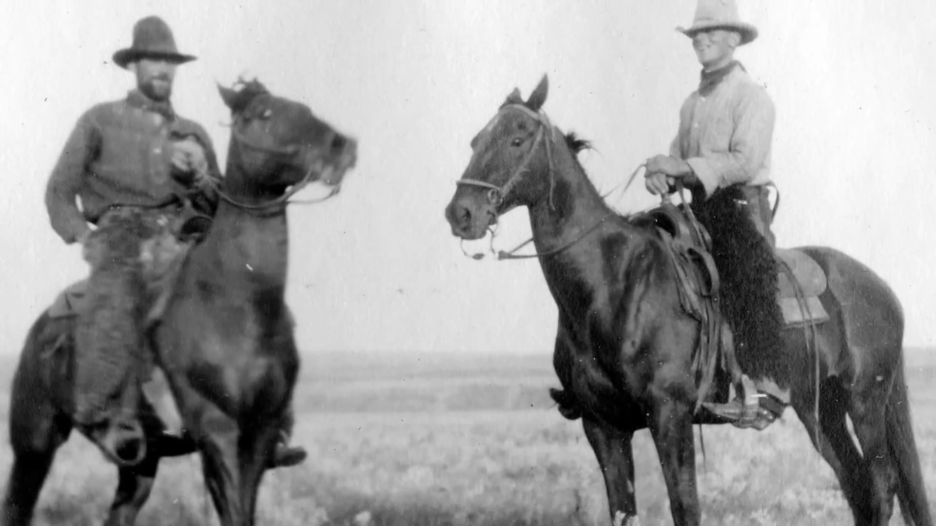 Wie ein gestohlenes Rind einen blutigen Frontier-Krieg auslöste